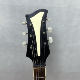 Taco archtop guitar made in DDR Germany 1950 - 60s - Guitarage.nl ...